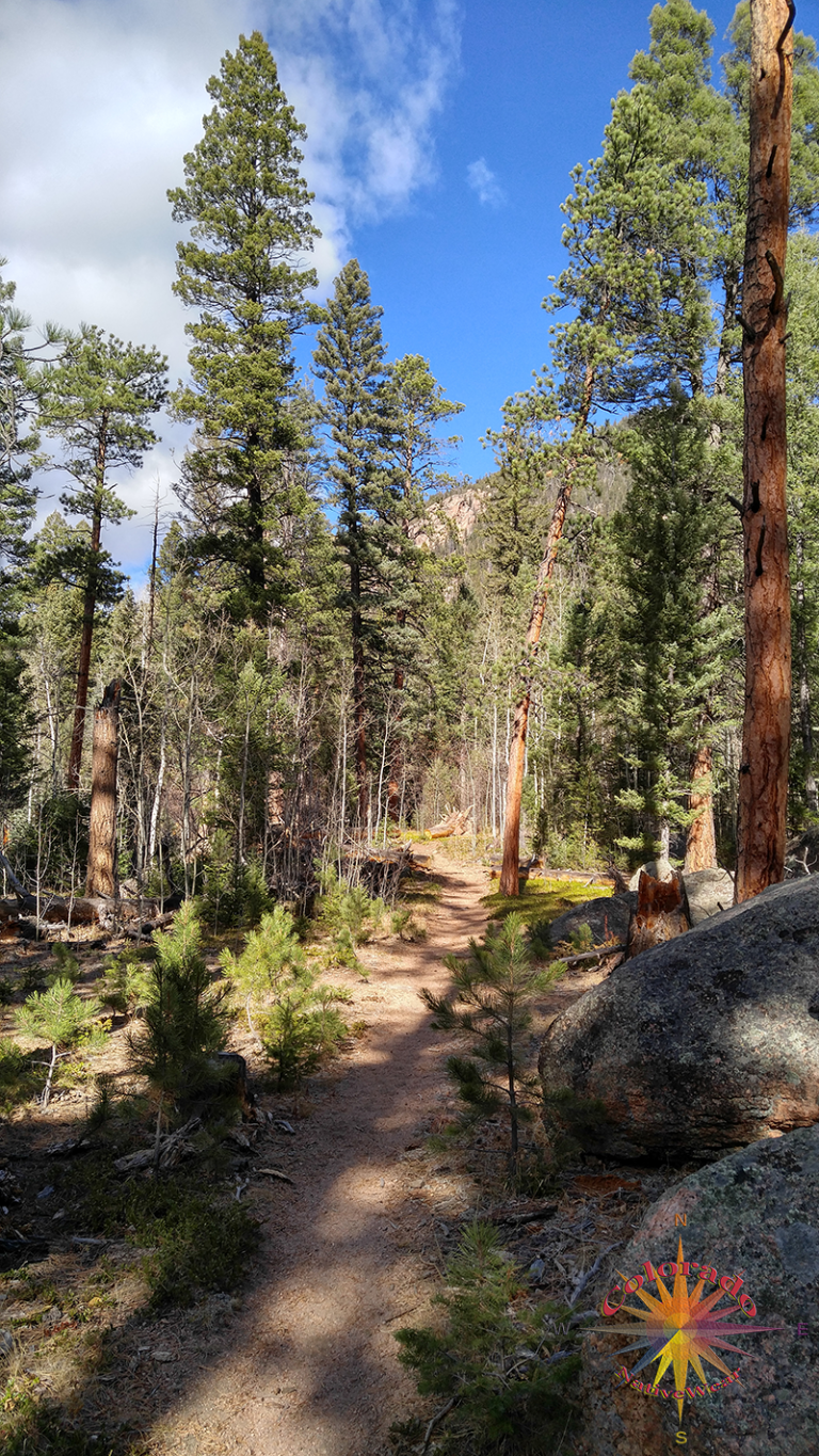 Lost Creek Wilderness Hike on Wigwam Trail Trail of Highways