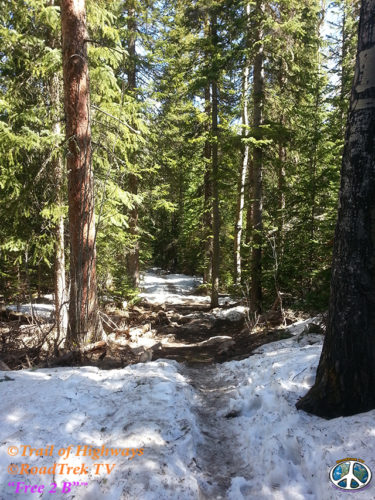 Wild Basin Trail, Photo Essay One • Trail of Highways