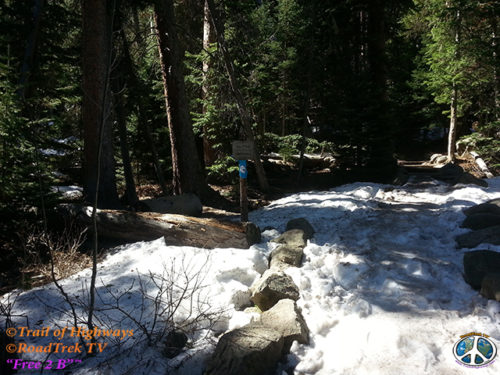 Wild Basin Trail, Photo Essay One • Trail of Highways