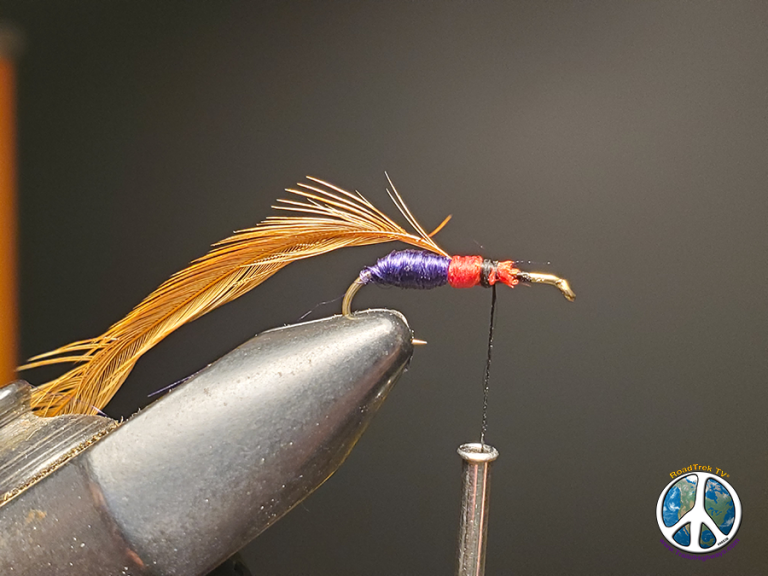 Purple Ant Fly Tying • Trail of Highways Fly Fishing Adventure